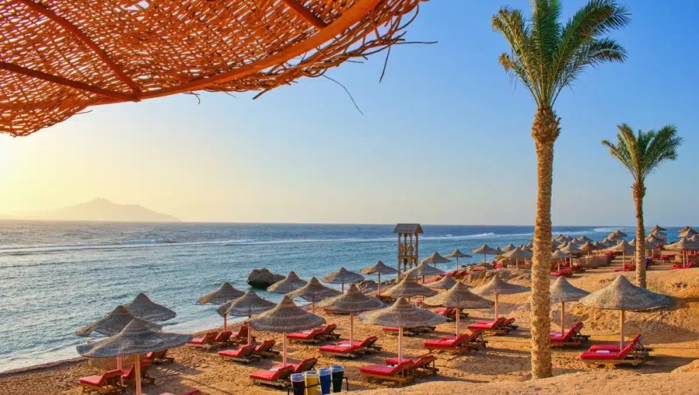 Why the Red Sea Coast Is a Paradise for Tourists: Diving, Resorts, and ...